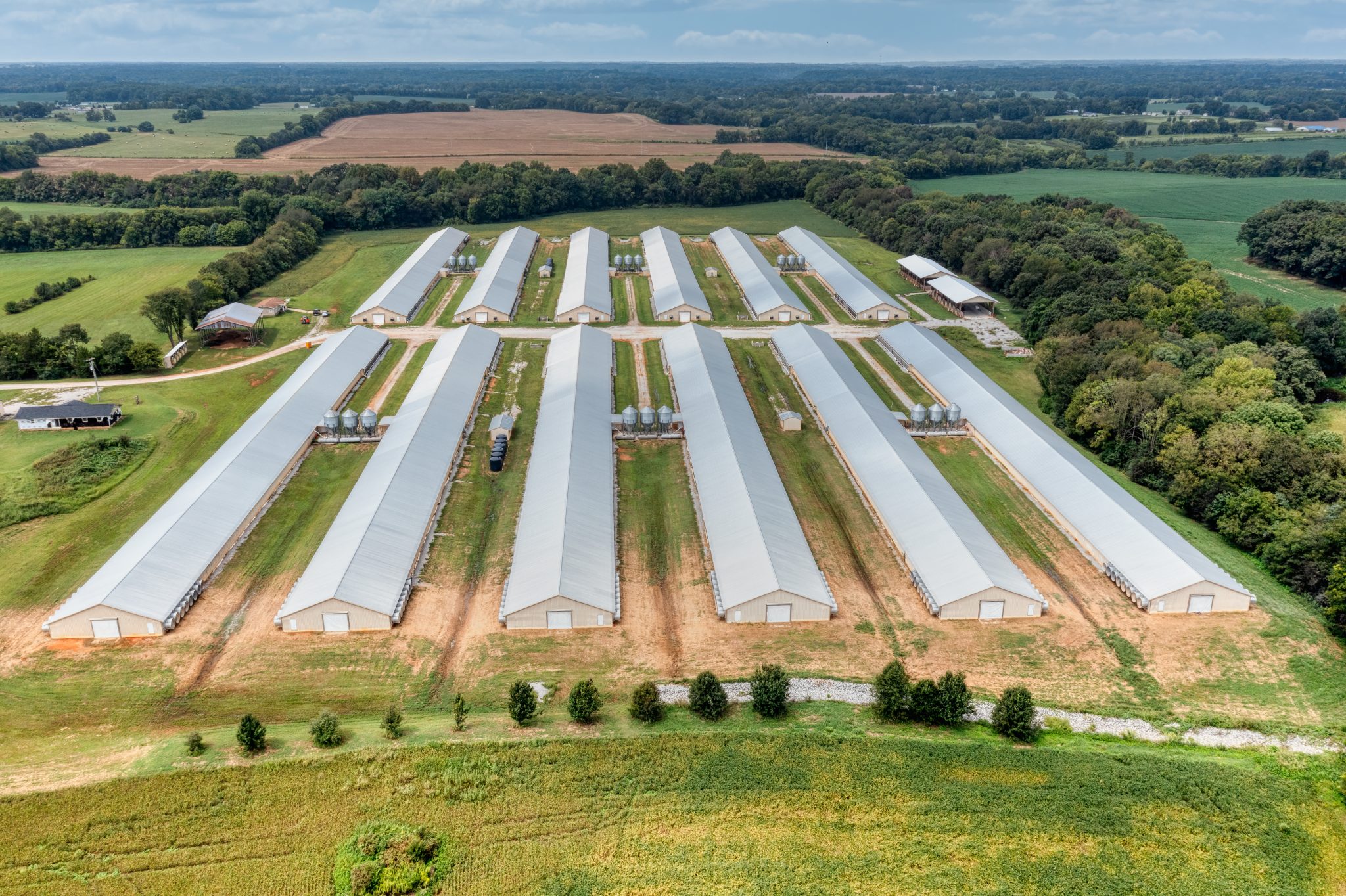 10 Standard Poultry House Dimensions for Maximum Farm Efficiency ...