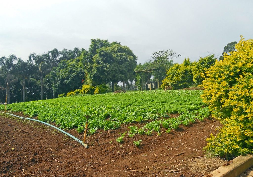 7 Realities: How Profitable Is a Small Farm? - FarmstandApp