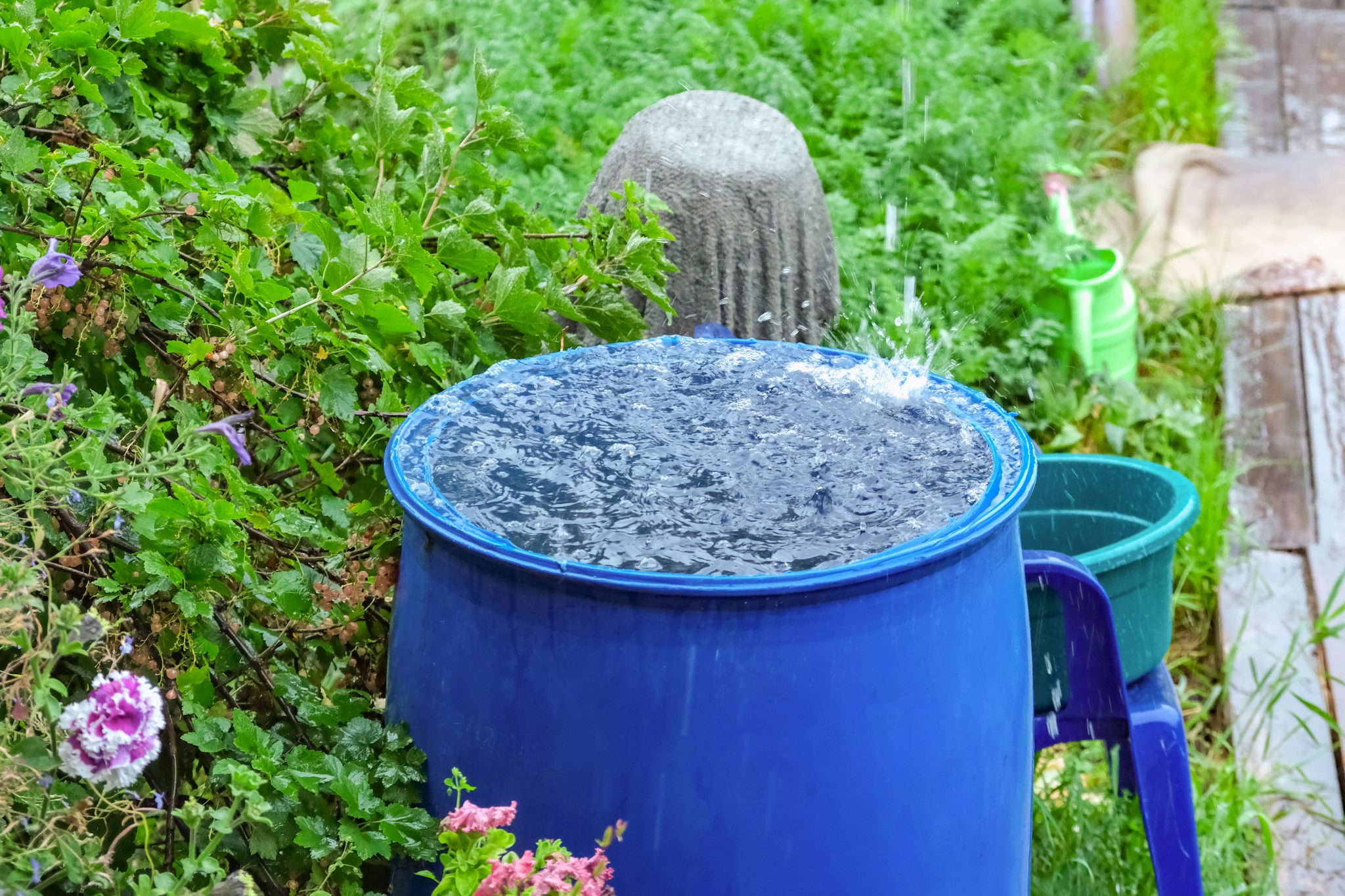 6 Top Water Collection Methods for Farms - FarmstandApp