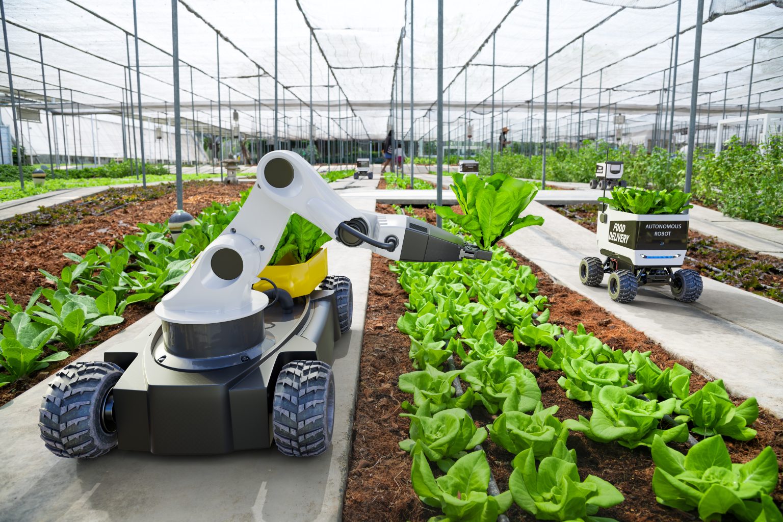 5 Smart Farming Weaknesses Exposed - FarmstandApp