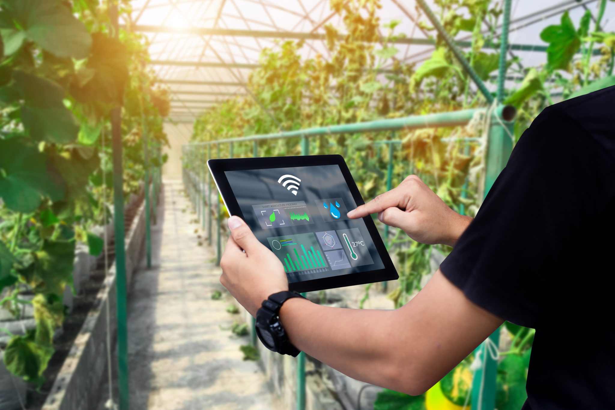 10 Proven Techniques to Boost Your Crop Yields - FarmstandApp
