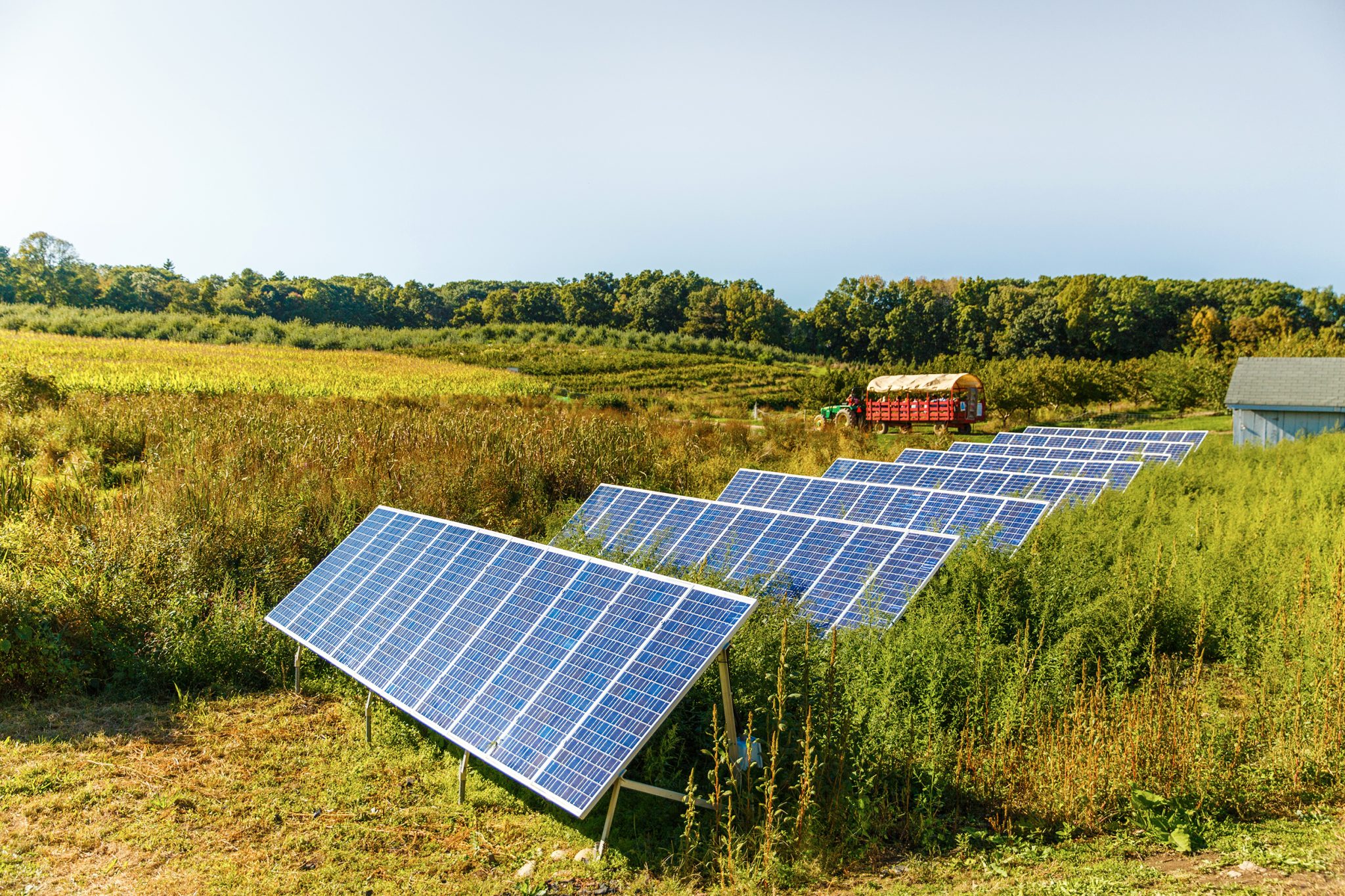 10 Game-Changing Efficient Farming Methods for Modern Agriculture ...