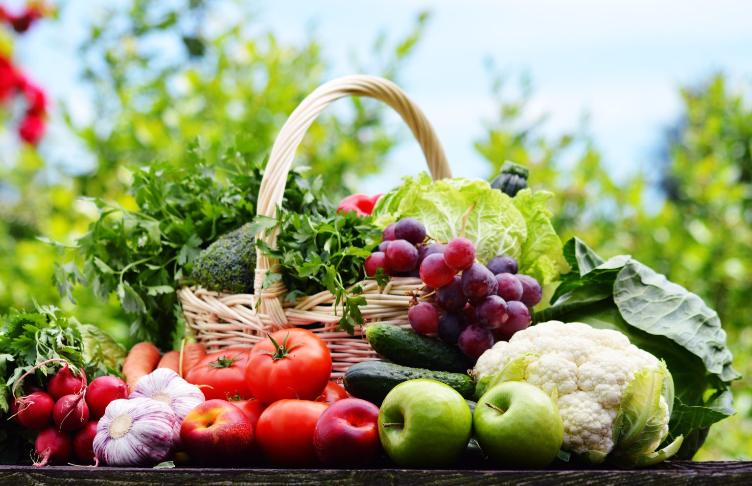 10 Key Signs You're Ready to Start a Market Garden in 2025 - FarmstandApp