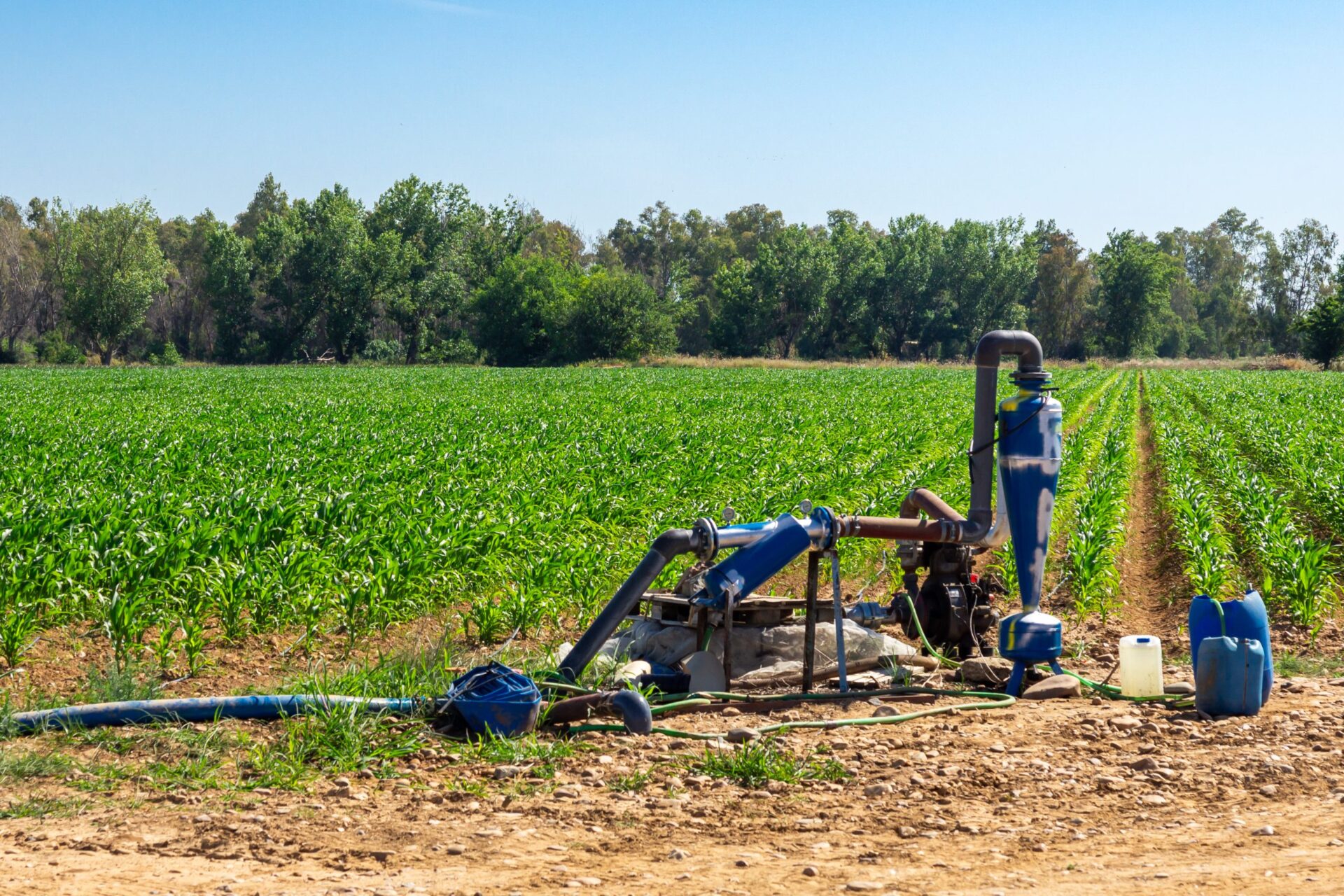9 Essential Facts About Crop Productivity Every Farmer Should Know ...