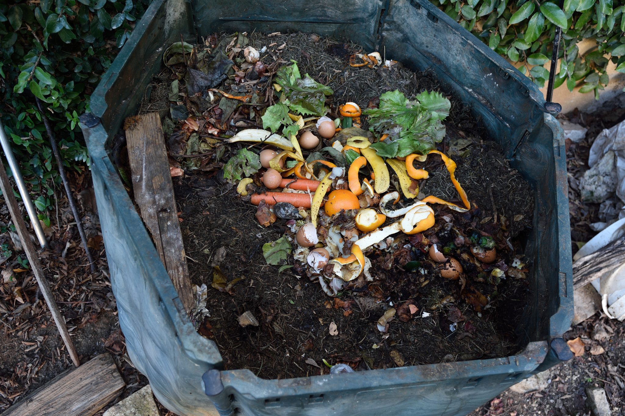4 Common Composting Problems and How to Fix Them - FarmstandApp