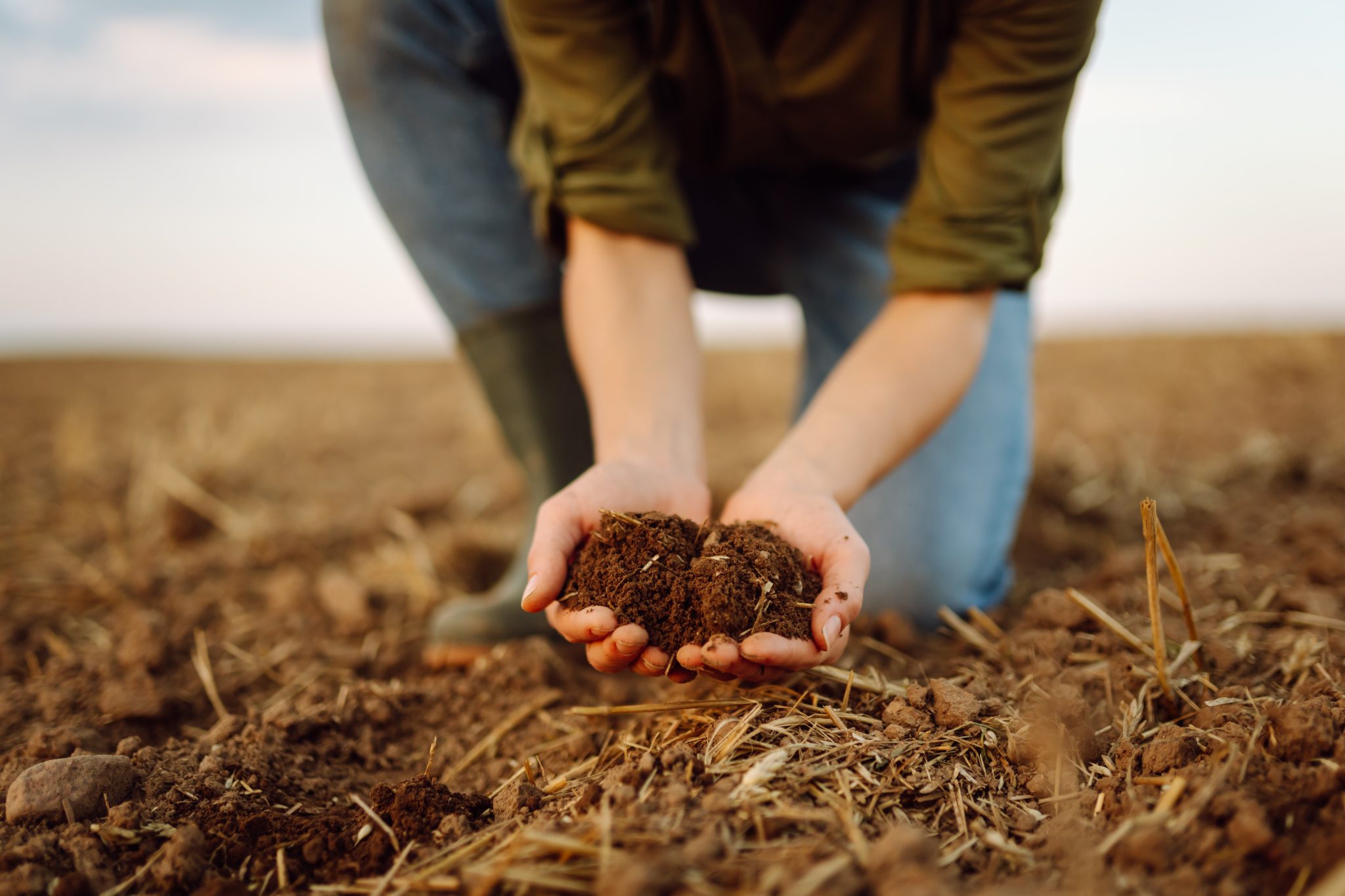 4 Essential Steps for Soil Restoration After Herbicide Use - FarmstandApp