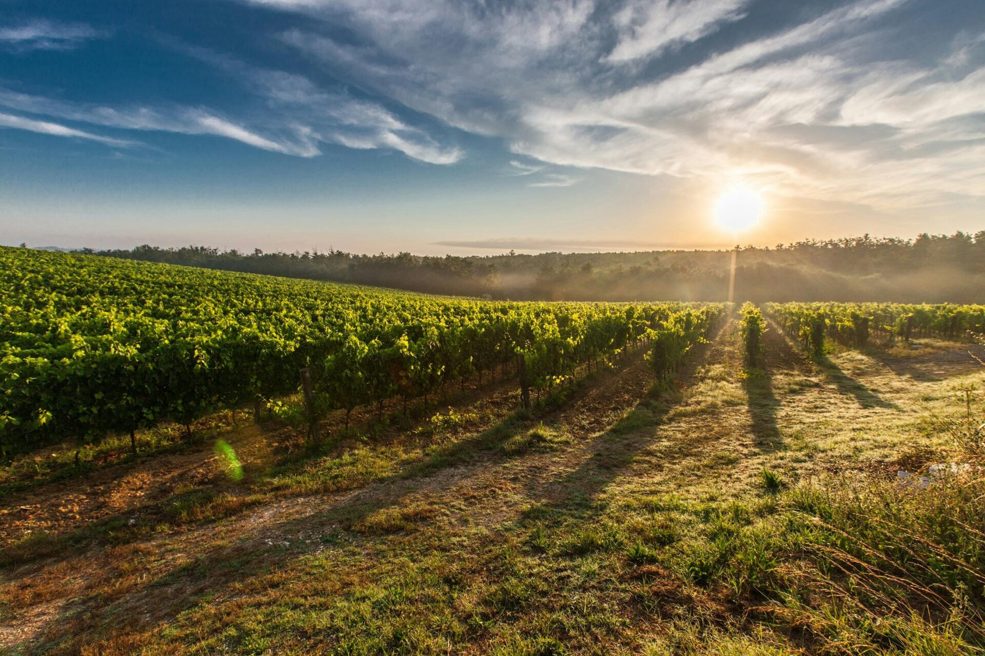 8 Farm Management Challenges That Threaten Modern Agriculture ...