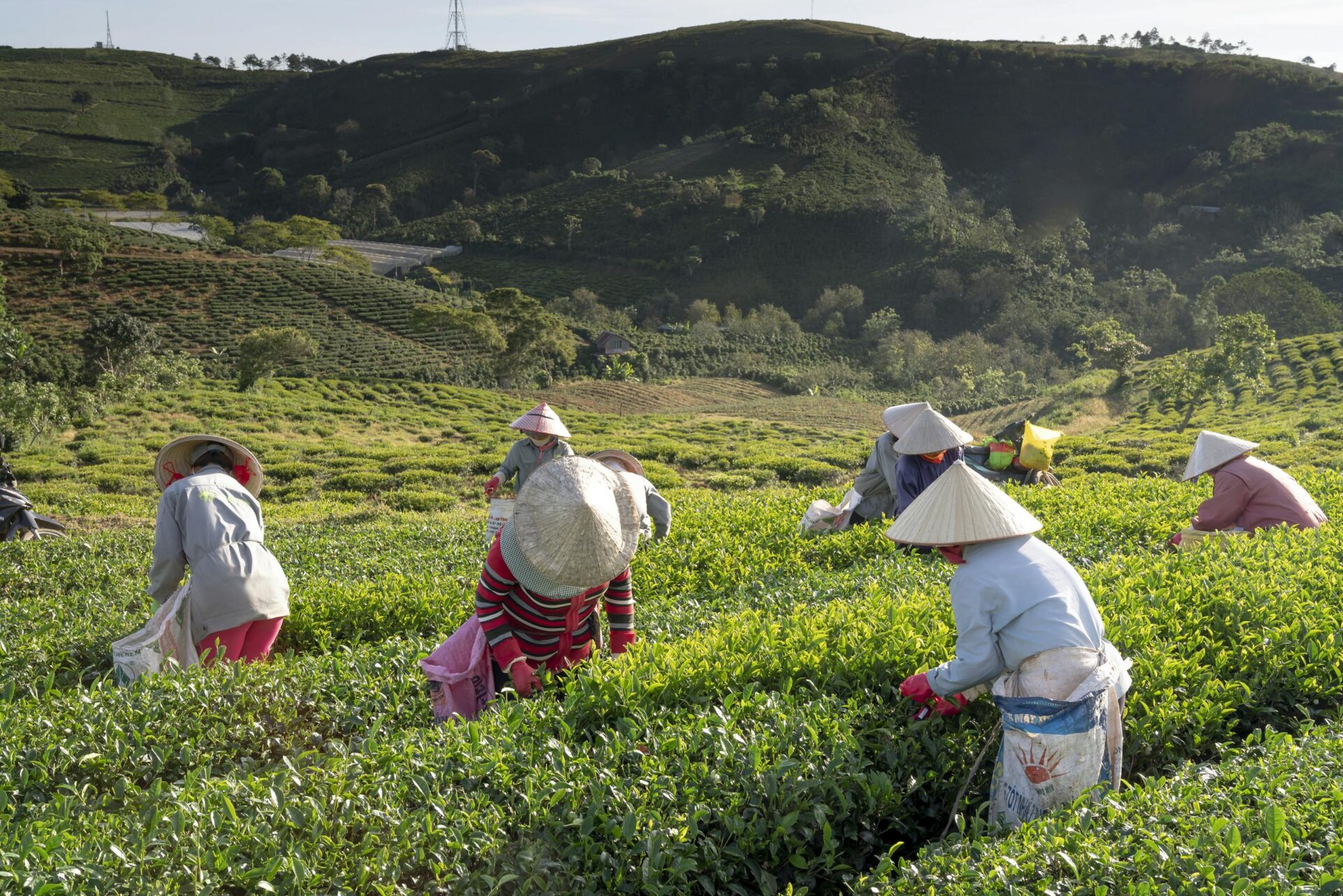 10 Ethical Farming Practices That Help Save Our Planet Today - FarmstandApp
