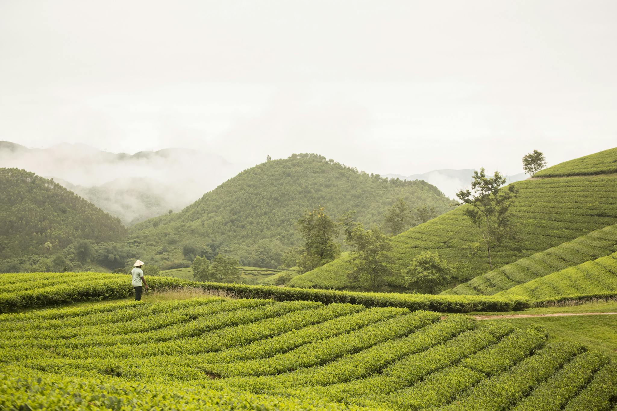 10 Ethical Farming Practices That Help Save Our Planet Today - FarmstandApp