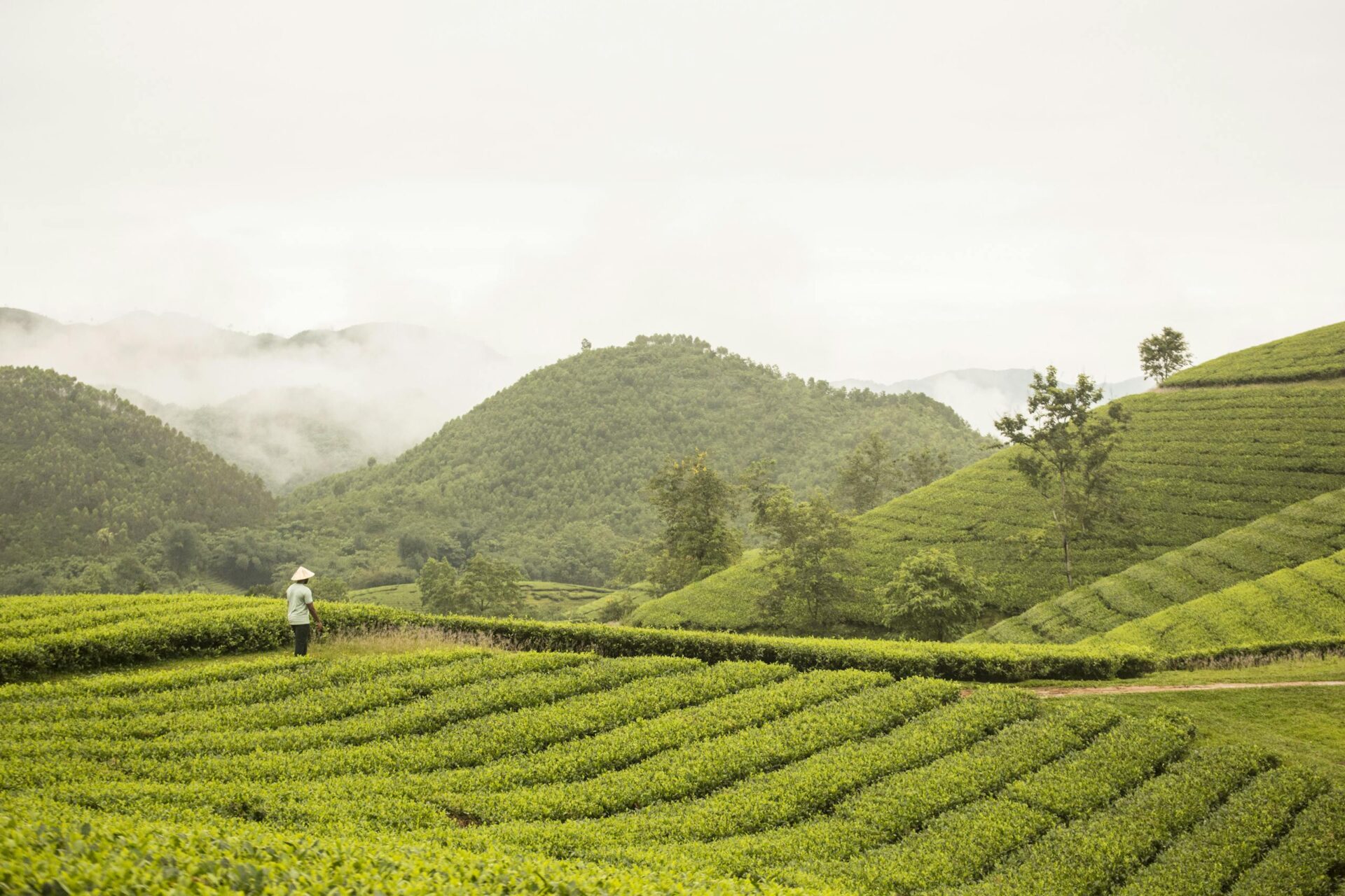 10 Ethical Farming Practices That Help Save Our Planet Today - FarmstandApp
