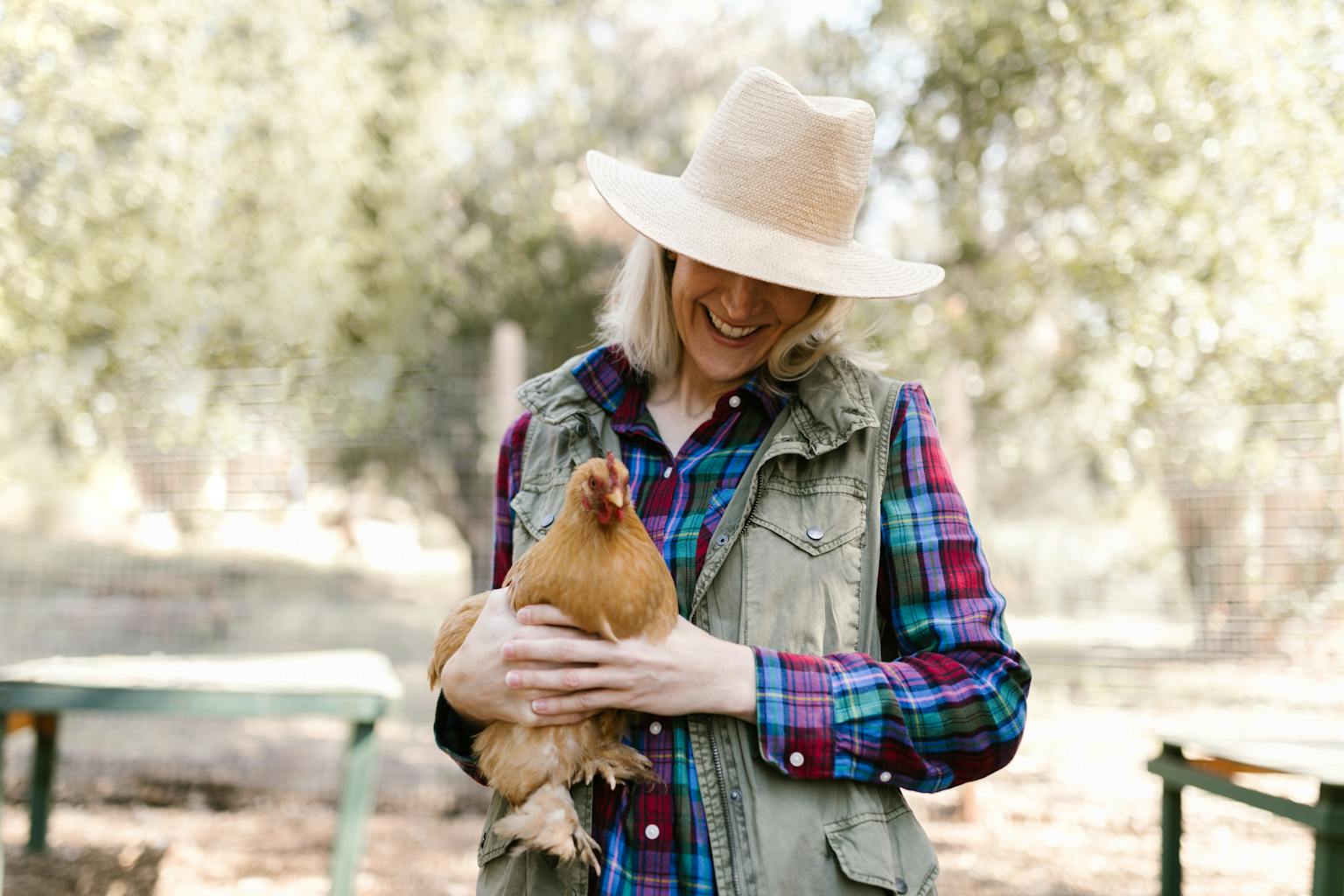 10 Standard Poultry House Dimensions for Maximum Farm Efficiency ...