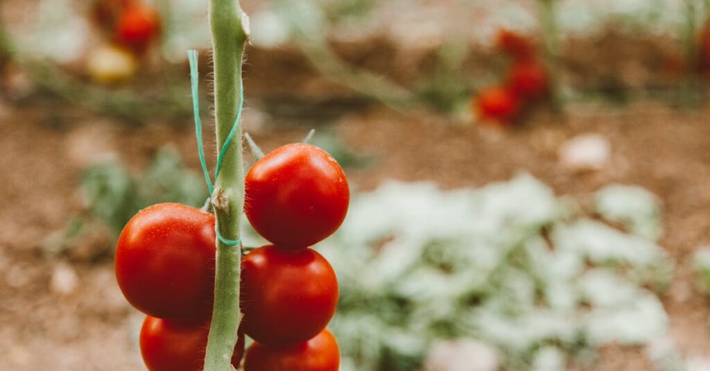 10 Techniques for Building Healthy Garden Soil That Old Farmers Swear ...