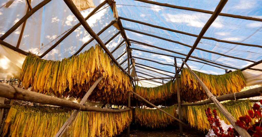 11 Innovative Methods for Crop Preservation That Nature Already ...