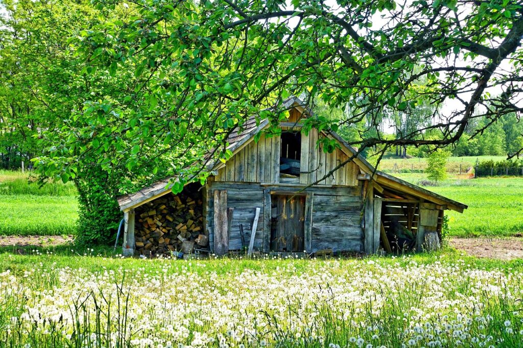 7 Shed Designs for Small Farms That Maximize Your Limited Space ...