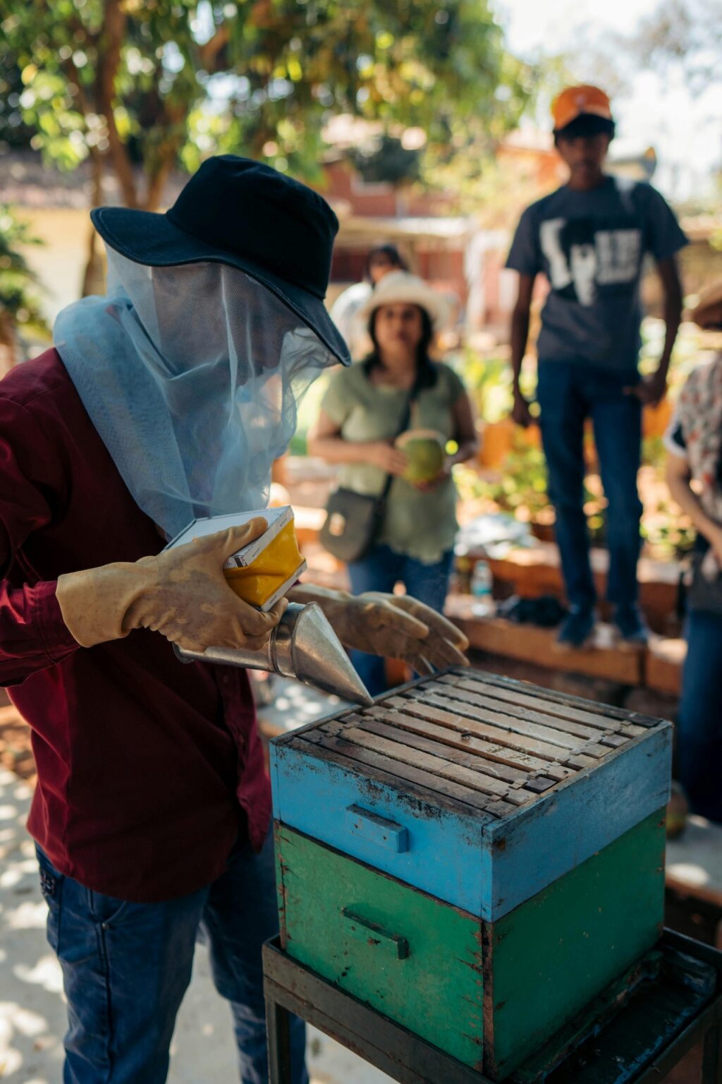 10 Best Bee Observation Hives for Educational Purposes That Foster ...