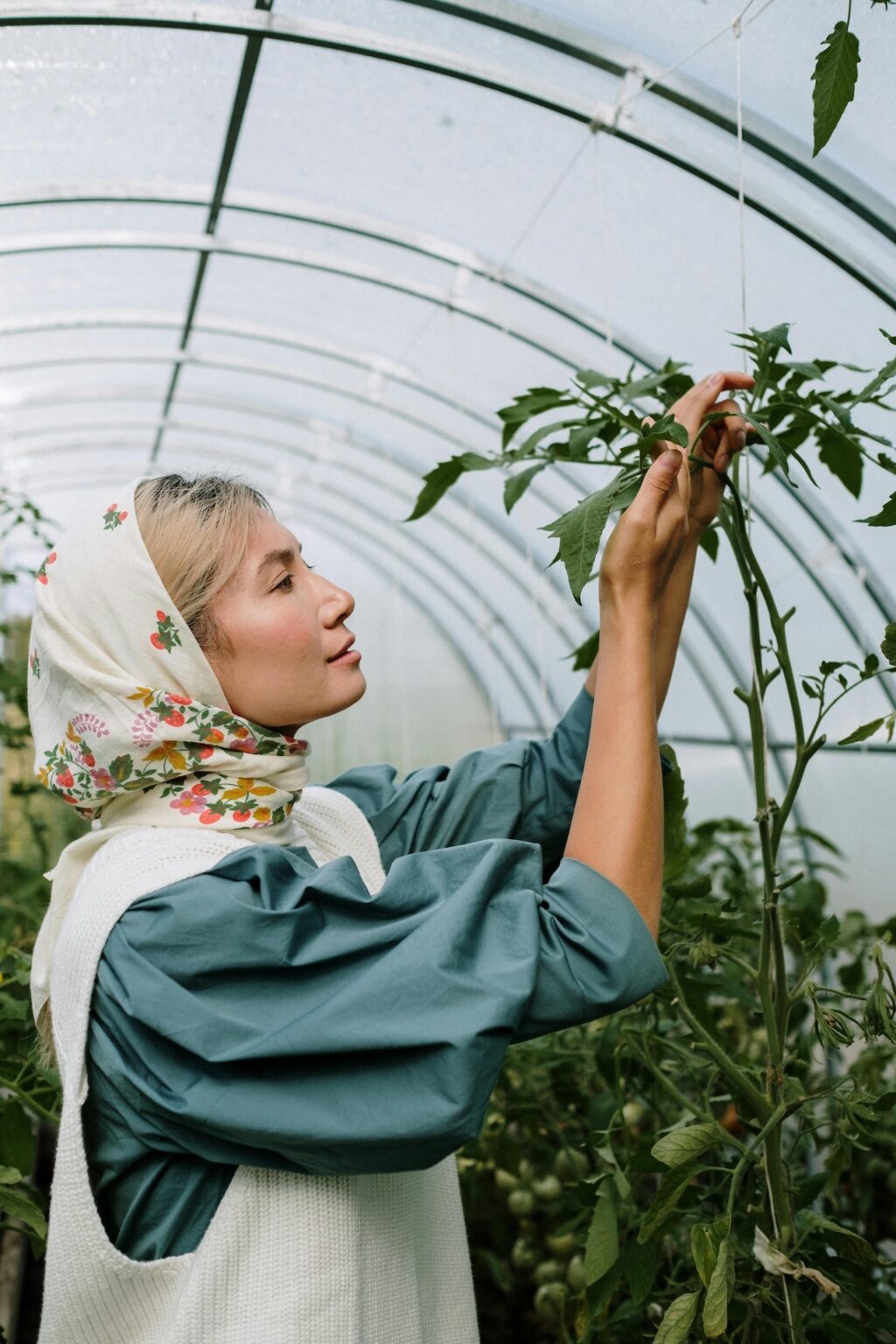 7 Crop Diversity Strategies for Better Yields That Build Climate ...