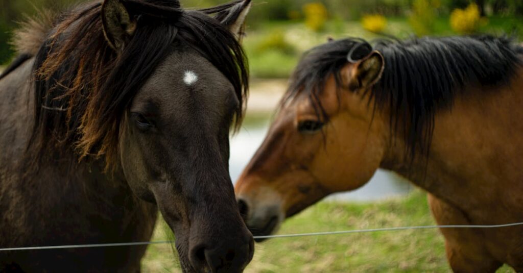 7 Effective Communication Techniques for Farm Teams That Bridge ...