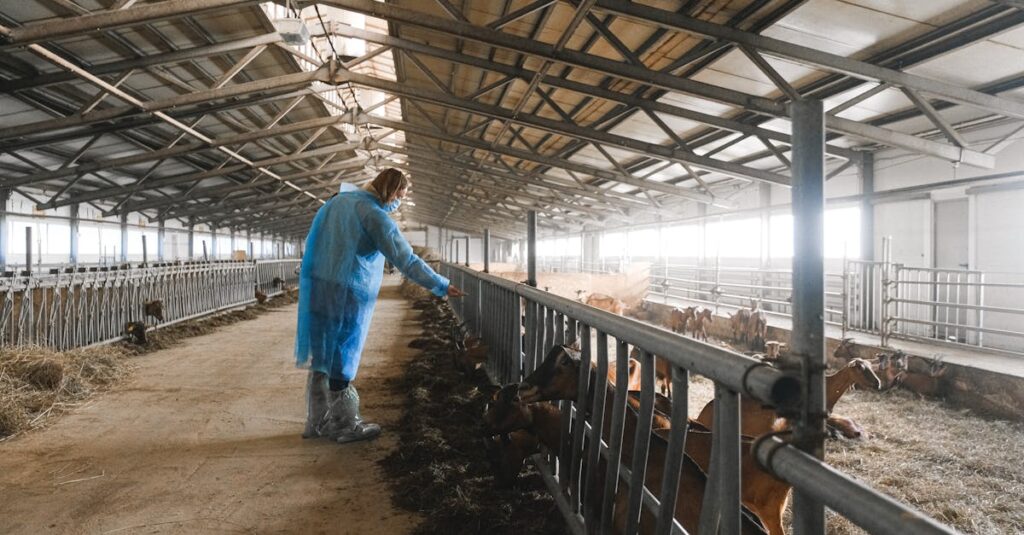 7 Grants for Small-Scale Livestock Operations That Build Sustainable ...