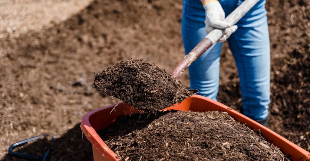 6 Best Mulch Options for Container Gardening That Conserve Moisture ...