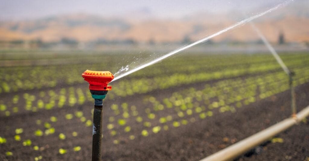 6 Best Irrigation Techniques For Water Efficiency That Cut Bills In ...