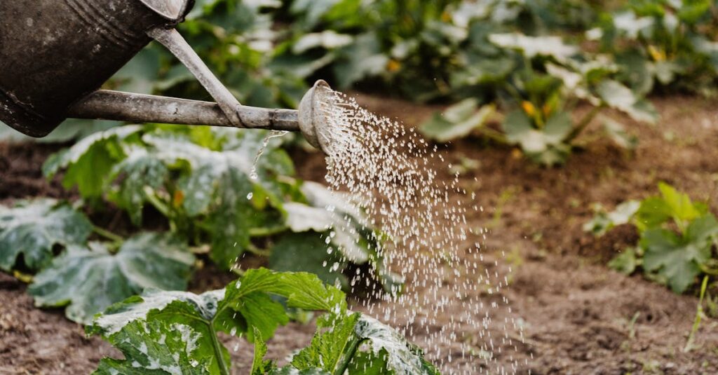 7 Alternative Irrigation Techniques for Sustainability That Save Water ...