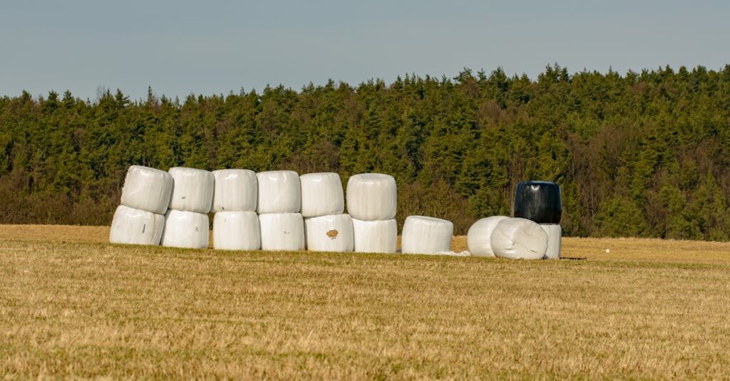 6 Best Hay Storage Methods Compared: What Seasoned Farmers Swear By ...