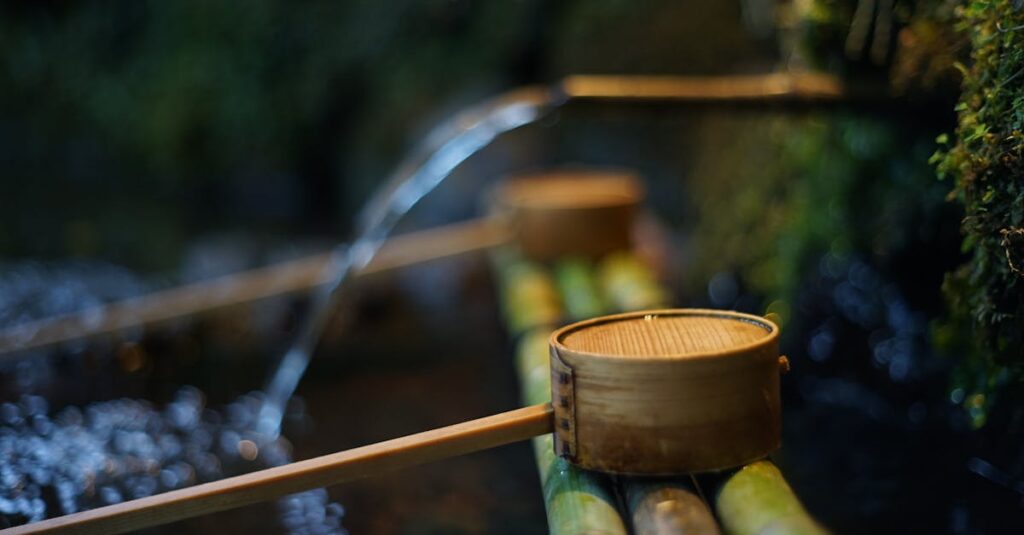 7 Best Organic Solutions for Water Purification Without Chemicals ...