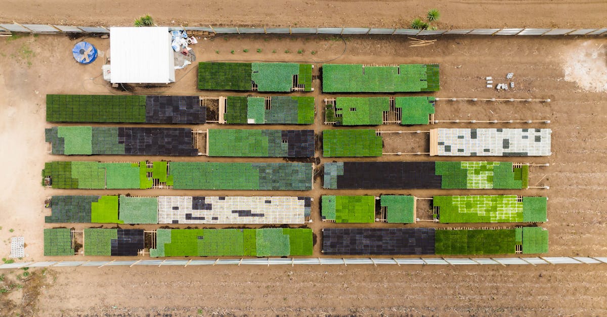 5 Best Greenhouse Polycarbonate Panels for Hail Protection That Survive ...